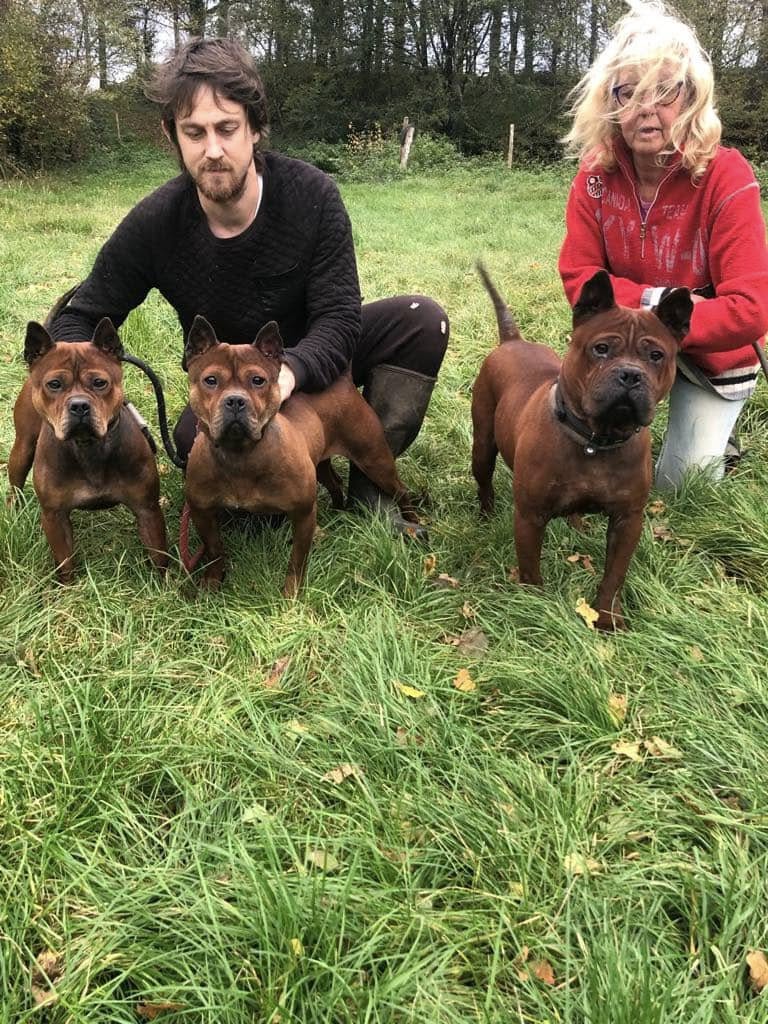 Truffle Hunting Dogs – French Truffle Tree