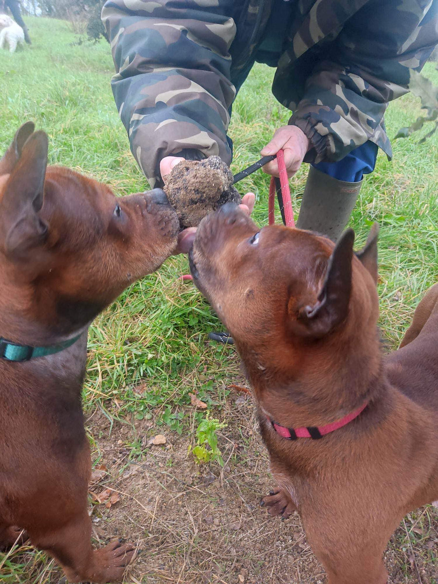 Chinese girls first Truffle! – French Truffle Tree
