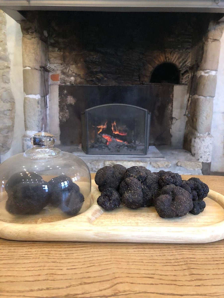 More Truffles from your tree's – French Truffle Tree