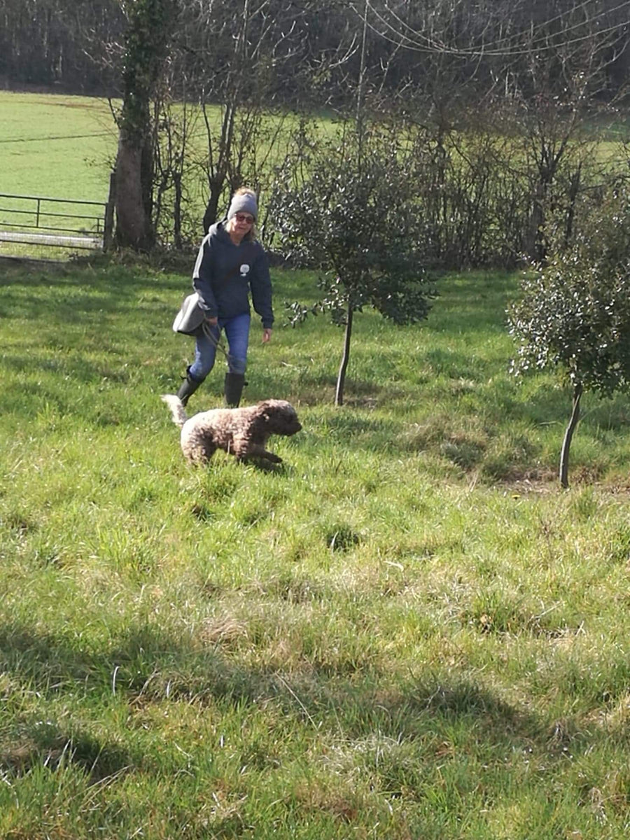 More Truffles! – French Truffle Tree
