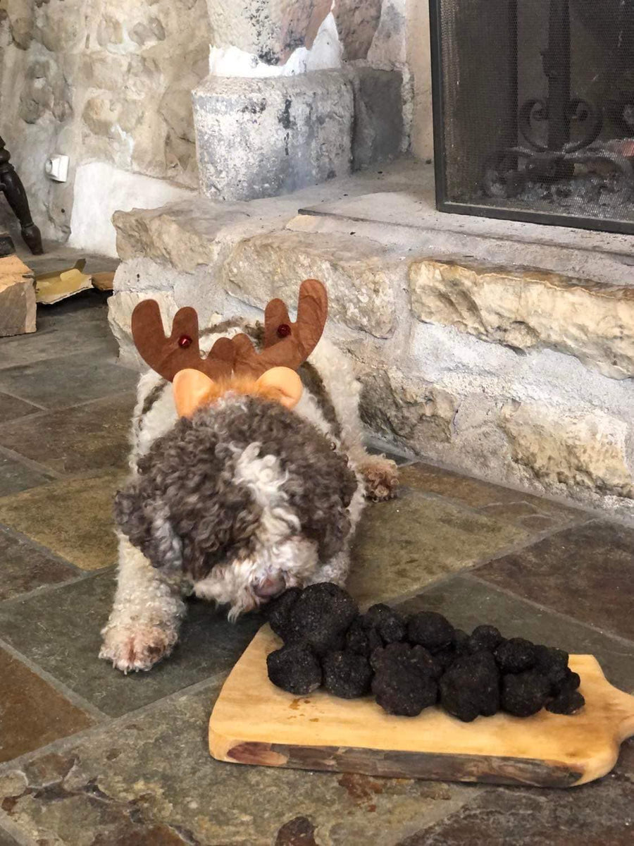 Happy Christmas – French Truffle Tree