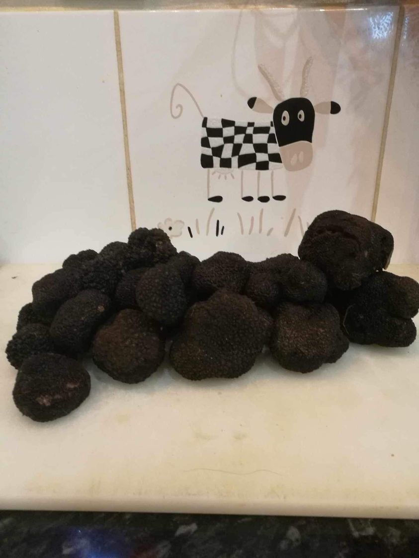 Lovely truffles! – French Truffle Tree